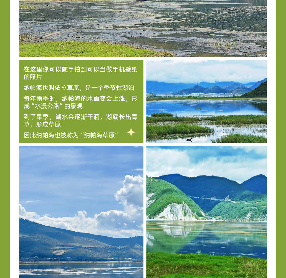 5-day tour to Niding Forest in Shangri-La, Yunnan (Songzanlin Temple ...